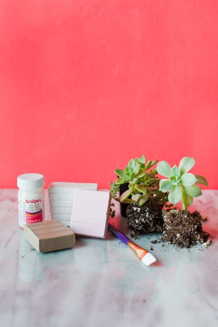 DIY Mini Pinch Pot Planters - A Beautiful Mess