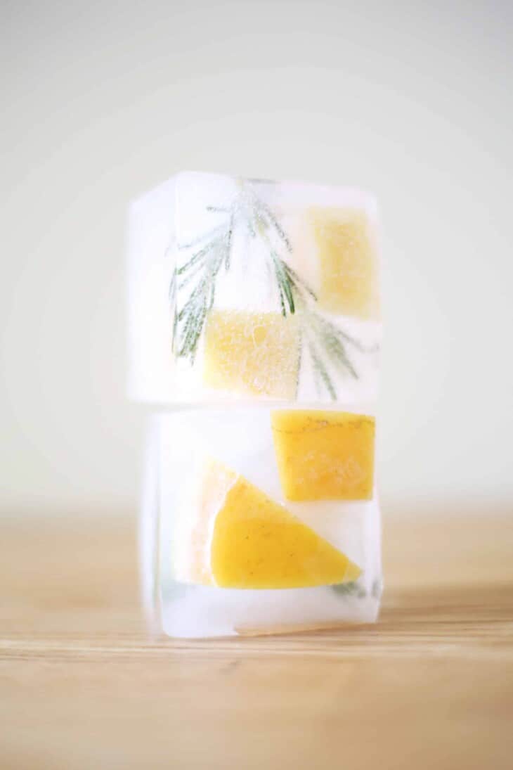 Gin Fix with Infused Ice Cubes - A Beautiful Mess