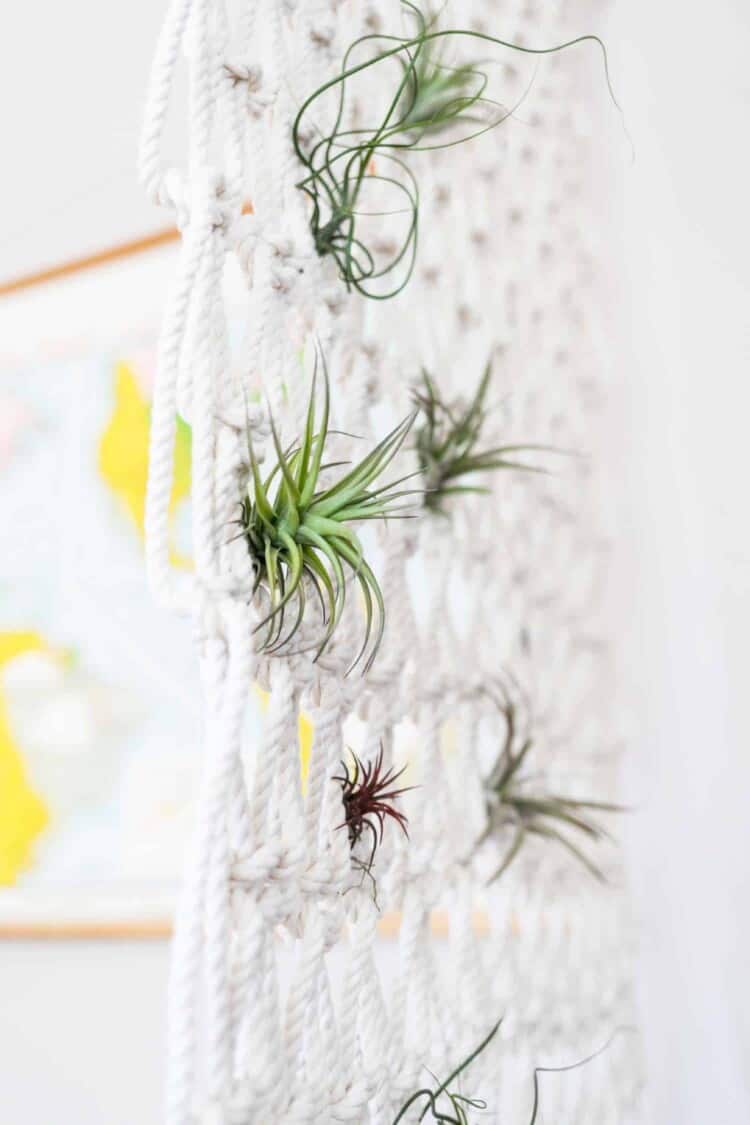 Macrame Room Divider DIY - A Beautiful Mess