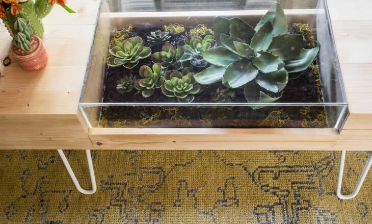 DIY Terrarium Coffee Table - A Beautiful Mess