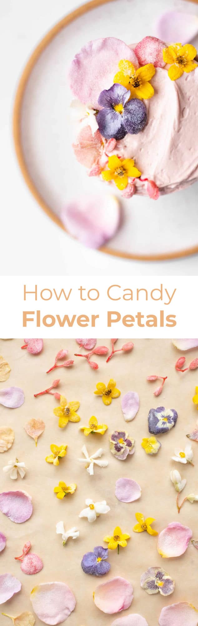 How to Candy Flower Petals - A Beautiful Mess