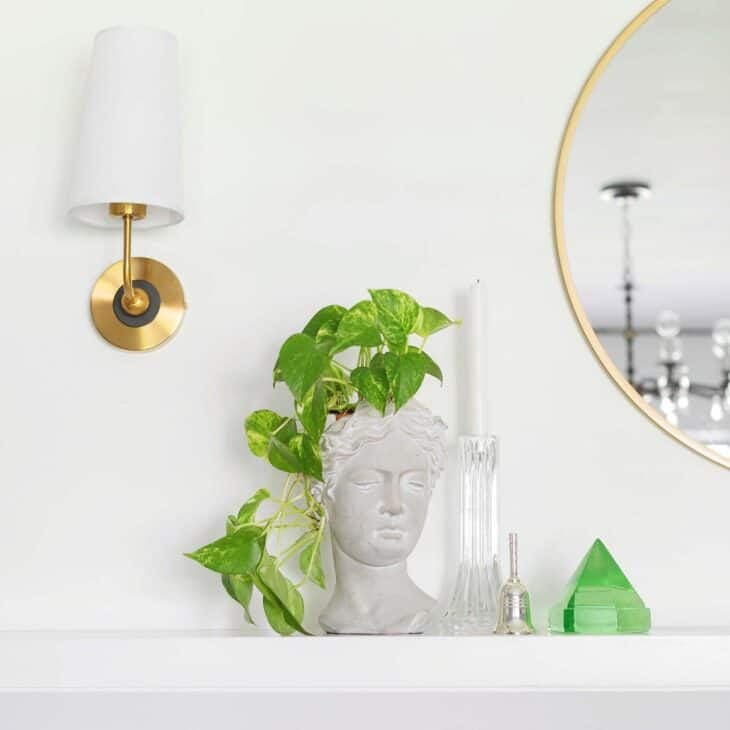 How to Care for Golden Pothos - A Beautiful Mess