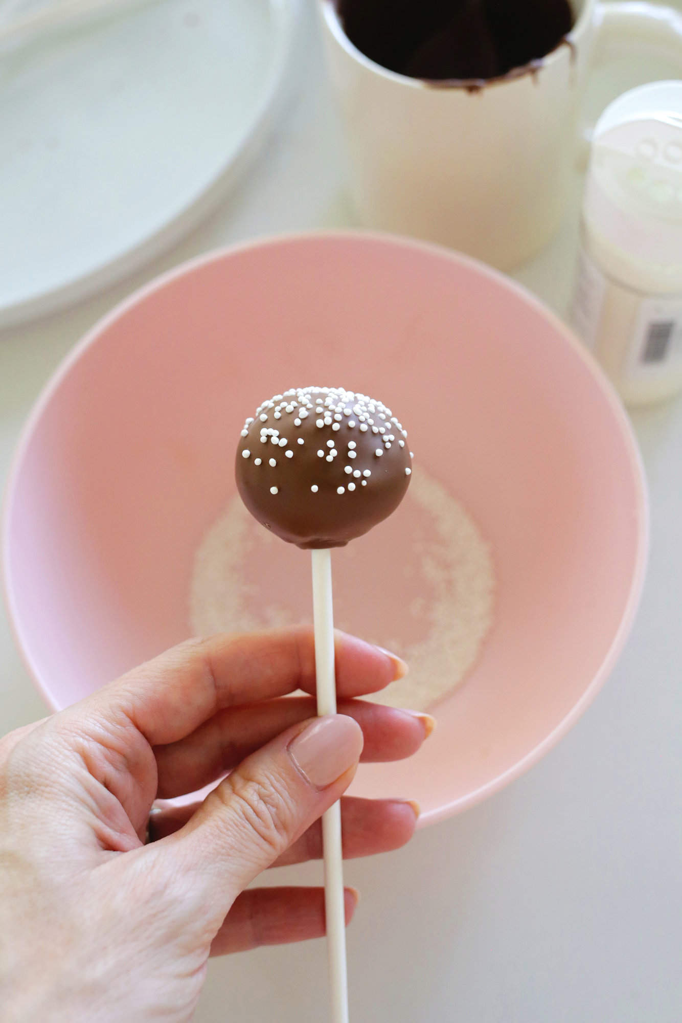Chocolate Cake Pops - A Beautiful Mess
