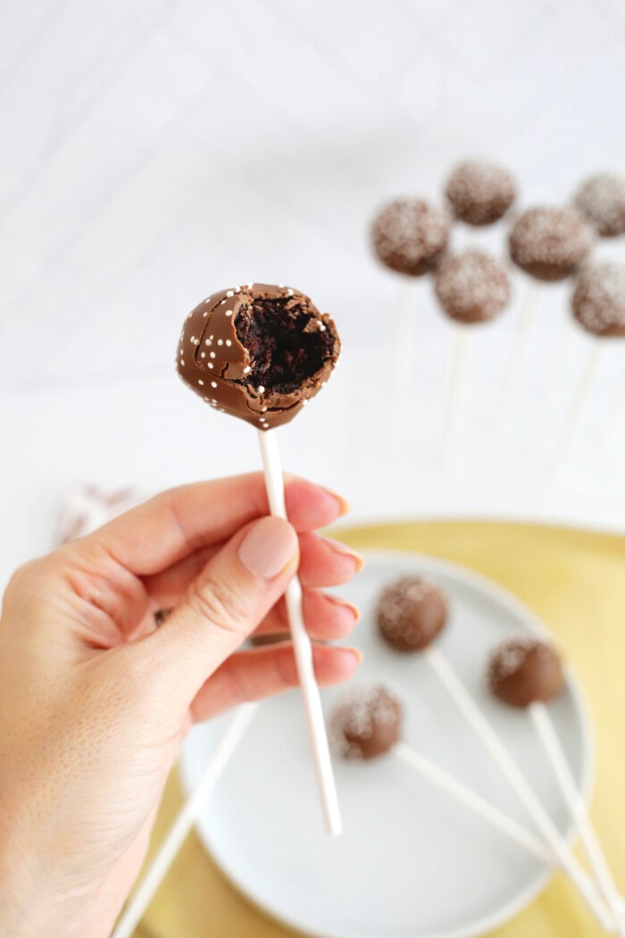 Chocolate Cake Pops - A Beautiful Mess