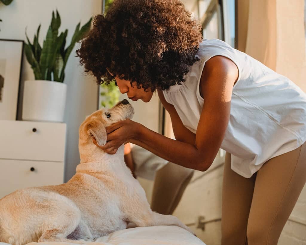 300+ Girl Dog Names - A Beautiful Mess