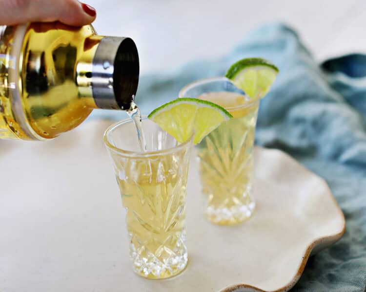 Water Moccasin Shot - A Beautiful Mess