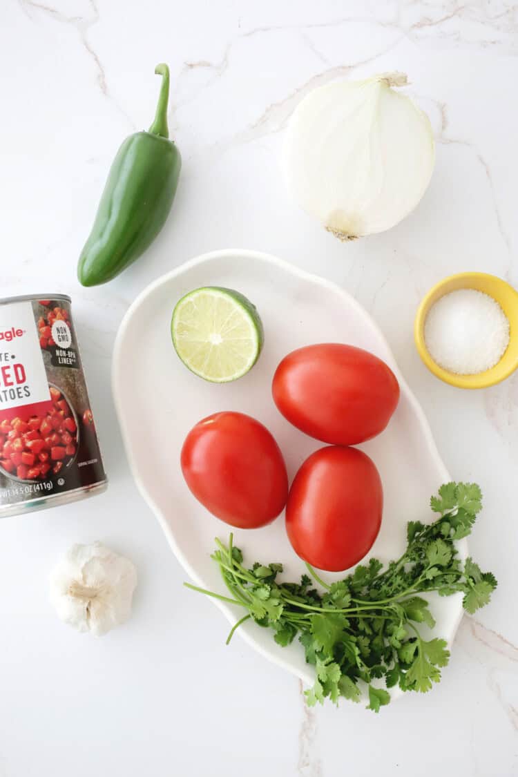 Homemade Salsa - A Beautiful Mess