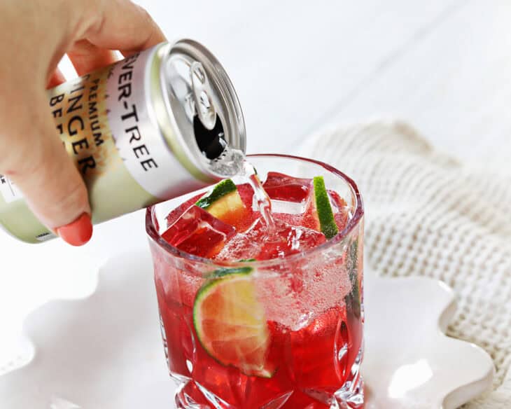 El Diablo Cocktail - A Beautiful Mess