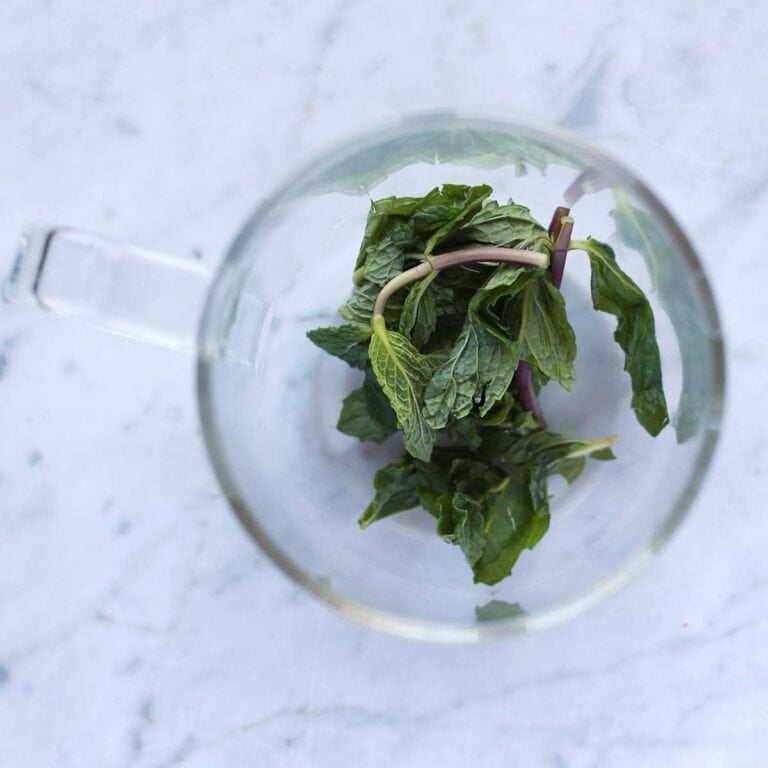 Fresh Mint Tea - A Beautiful Mess